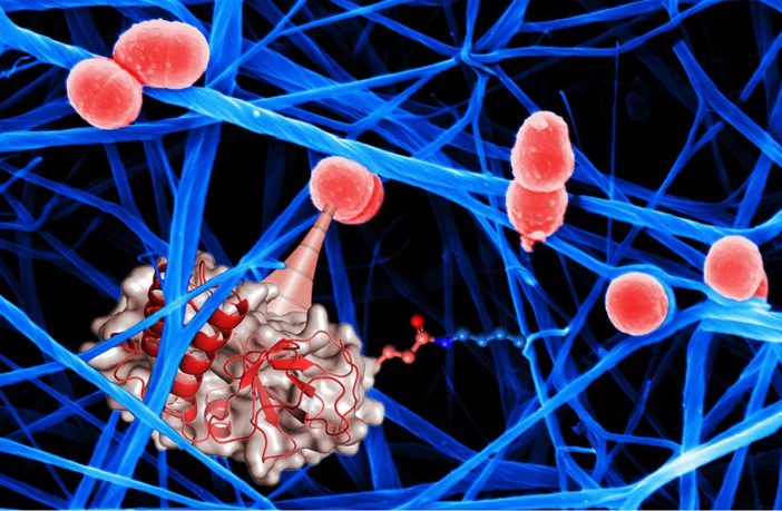 How Pathogens from Microbes Make Us Sick - News about Energy Storage ...