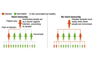 Introduction to Herd Immunity and COVID-19 - News about Energy Storage ...