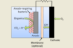 Bacterial Batteries Harvest Energy From Soil - News about Energy ...
